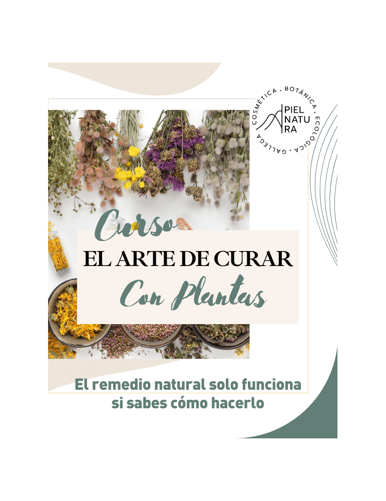 El arte de curar con plantas